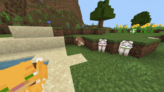 Fat Cats for Minecraft Pocket Edition 1.17